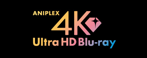 株式会社アニプレックス